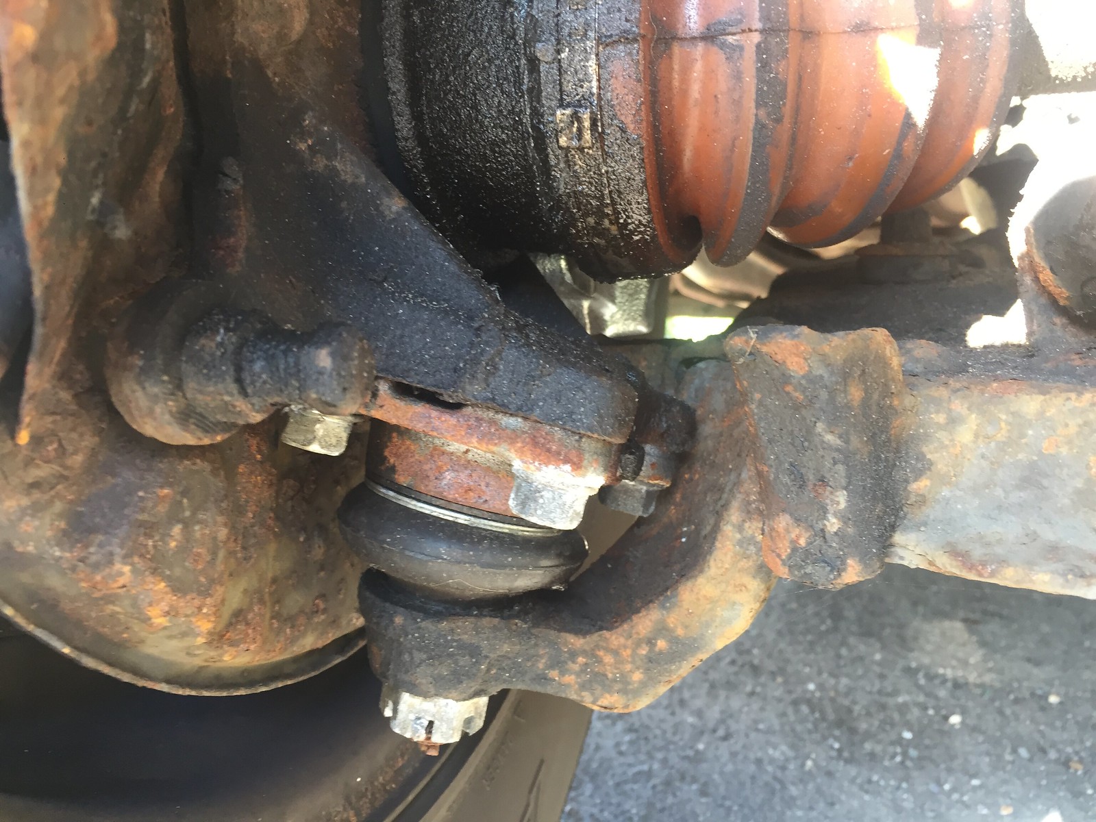 Knock Knock – Roon's Road Rats